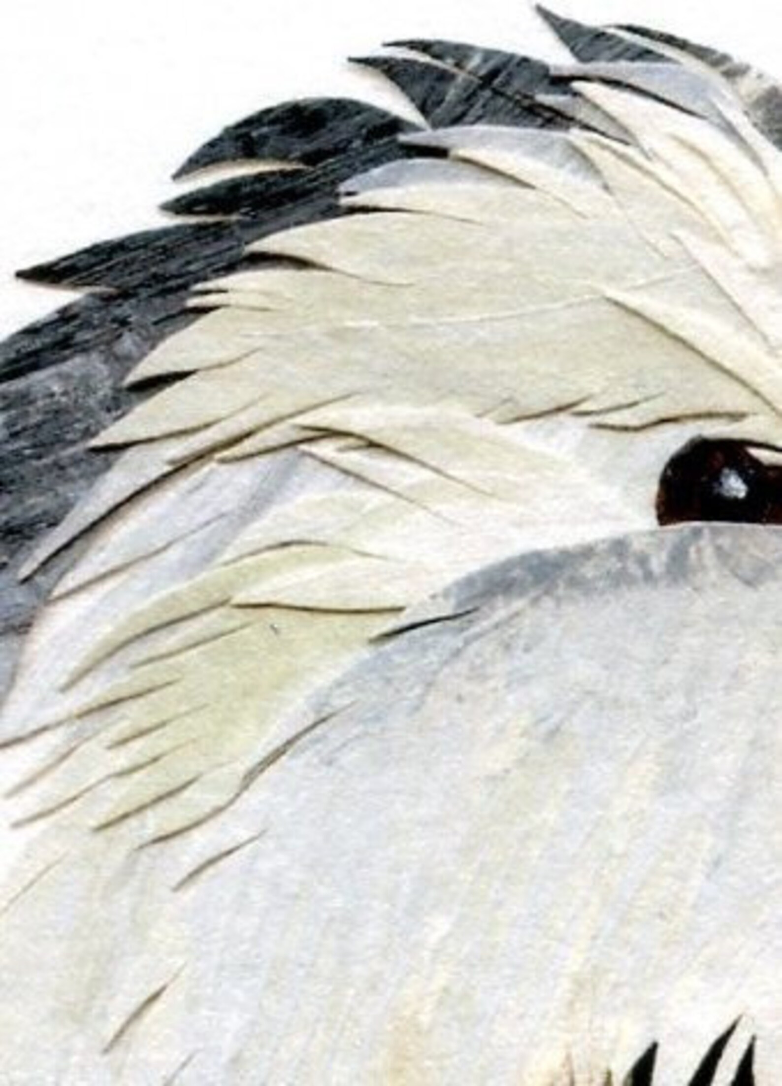 Sheepdog Art Print, 5 X 7", Giclee, Old English Sheepdog, Dog Painting ...