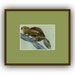 Beaver Art Collage Print, 5 X 7" Giclee, Acrylic Painting Print ...