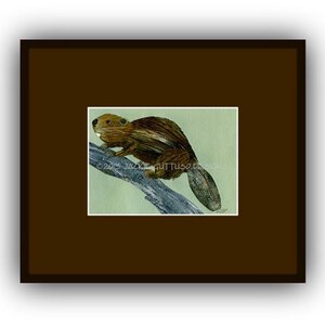 Beaver Art Collage Print, 5 X 7" Giclee, Acrylic Painting Print ...