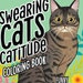Swearing Cats Catitude Cat Coloring Book: Funny Cat Coloring - Etsy
