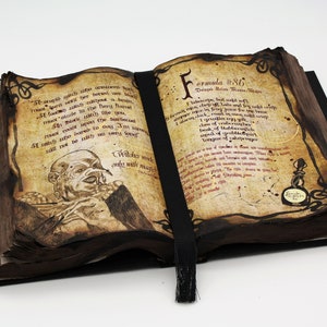 The Grand High Witch Formula 86 Delayed Action Mouse-maker Spell Book ...