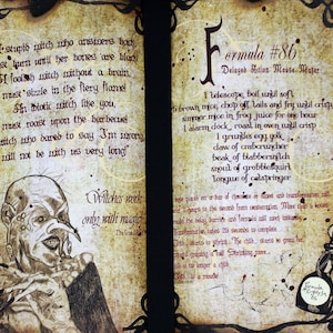 The Grand High Witch Formula 86 Delayed Action Mouse-maker Spell Book ...