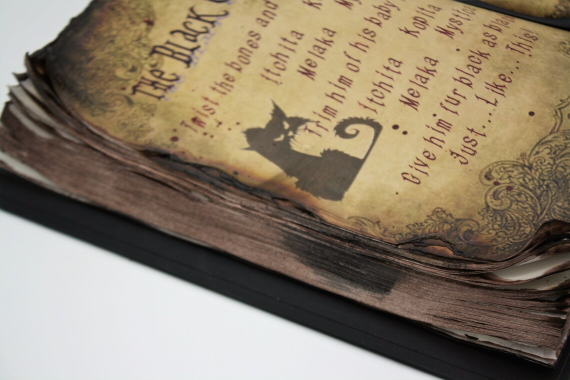 Black Cat Curse and Life Potion Spell Book Hocus Pocus | Etsy