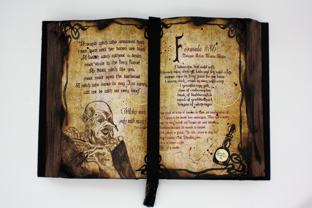 The Grand High Witch Formula 86 Delayed Action Mouse-maker Spell Book ...