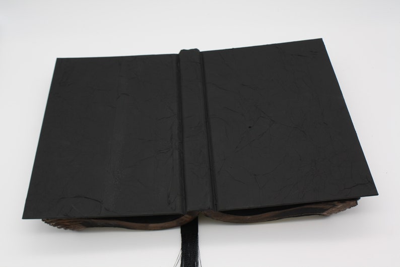 The Grand High Witch Formula 86 Delayed Action Mouse-maker Spell Book ...