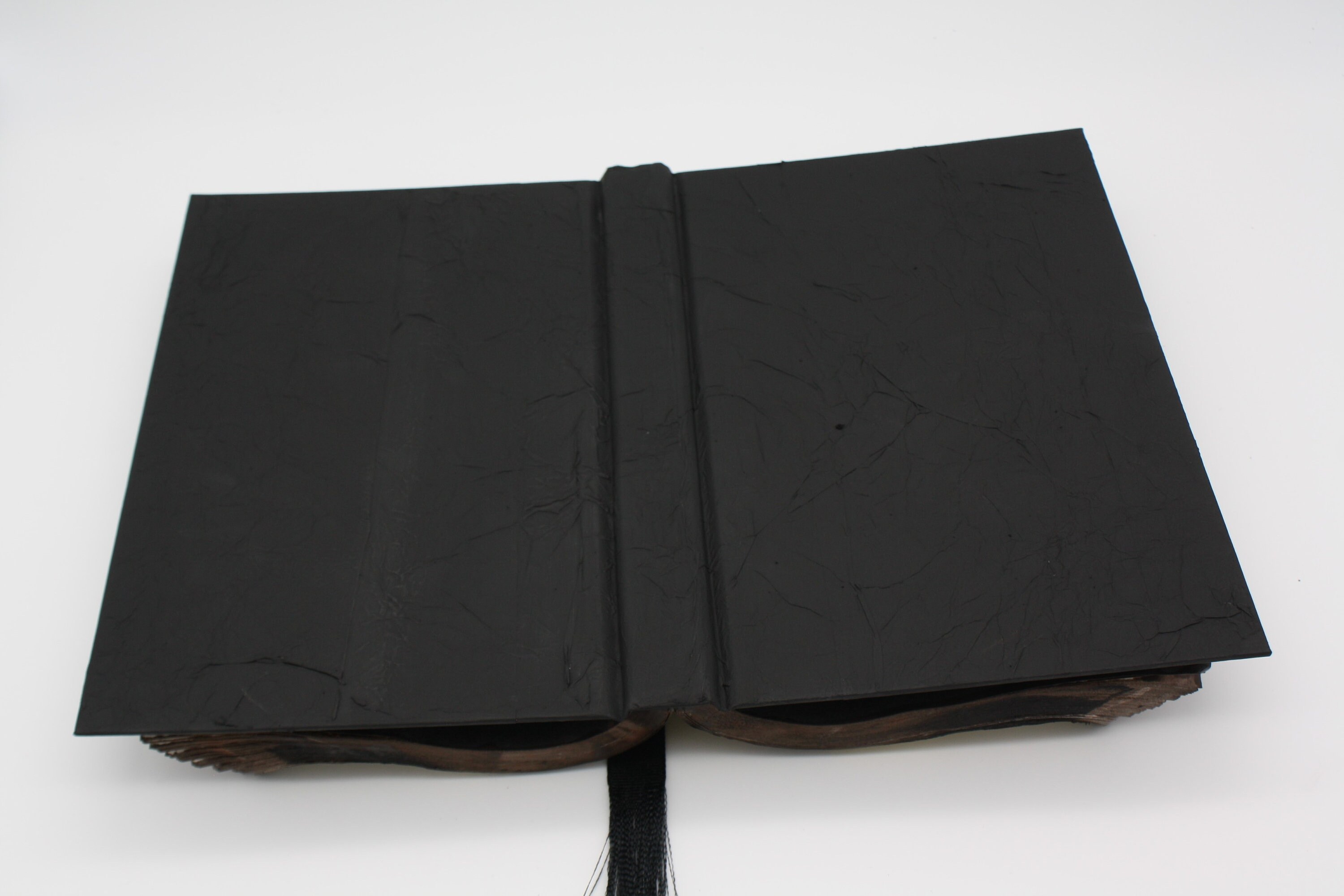 The Grand High Witch Formula 86 Delayed Action Mouse-maker Spell Book ...