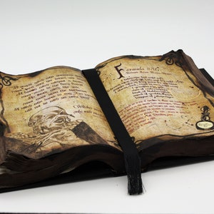 The Grand High Witch Formula 86 Delayed Action Mouse-maker Spell Book ...