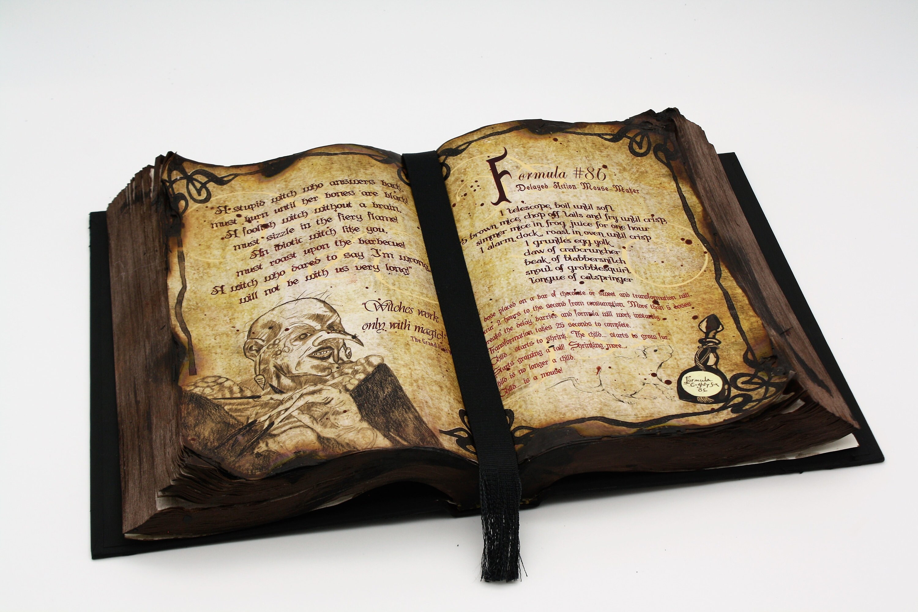 The Grand High Witch Formula 86 Delayed Action Mouse-maker Spell Book ...