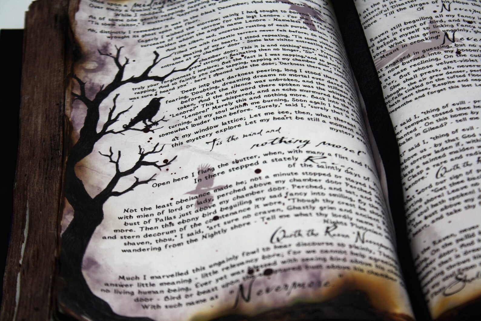 Nevermore Book Inspired by Edgar Allan Poe the Raven - Etsy