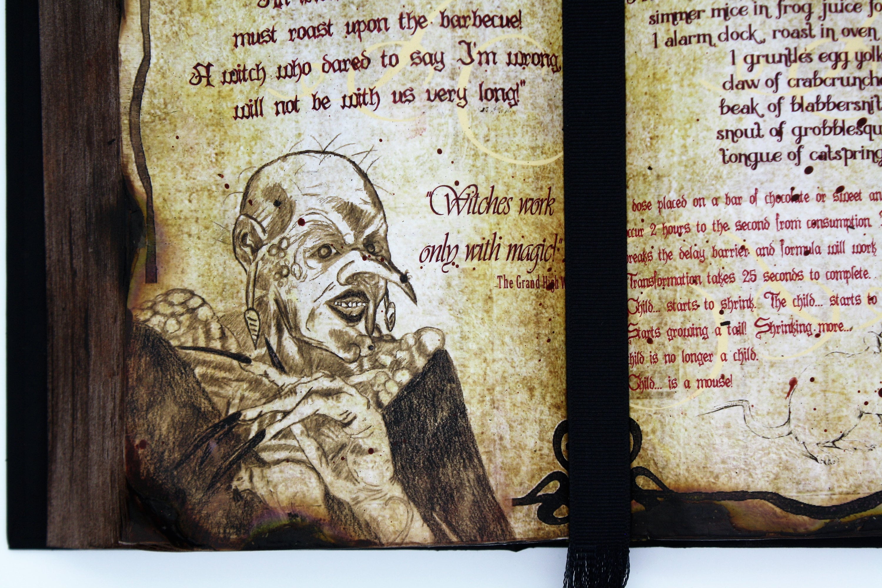 The Grand High Witch Formula 86 Delayed Action Mouse-maker Spell Book ...