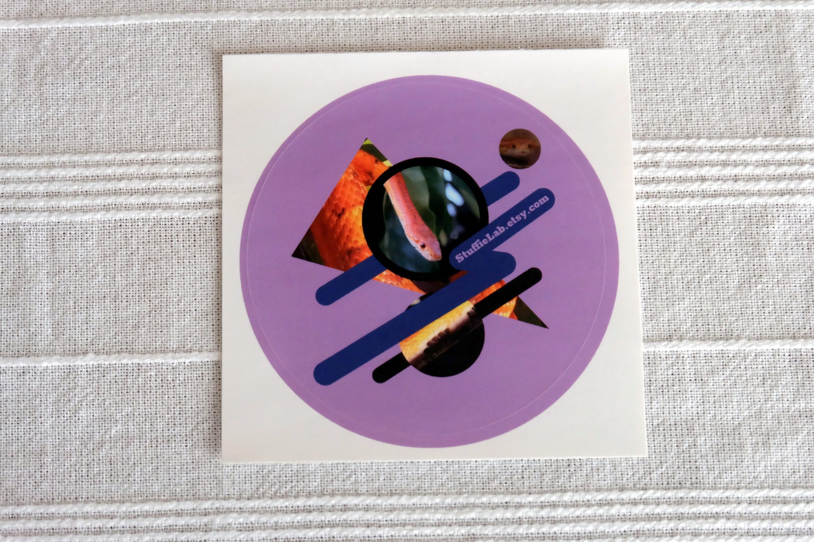 3-inch Reptile and Invert Art Stickers - Etsy