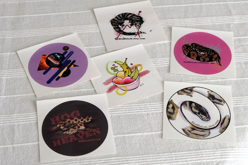 3-inch Reptile and Invert Art Stickers - Etsy