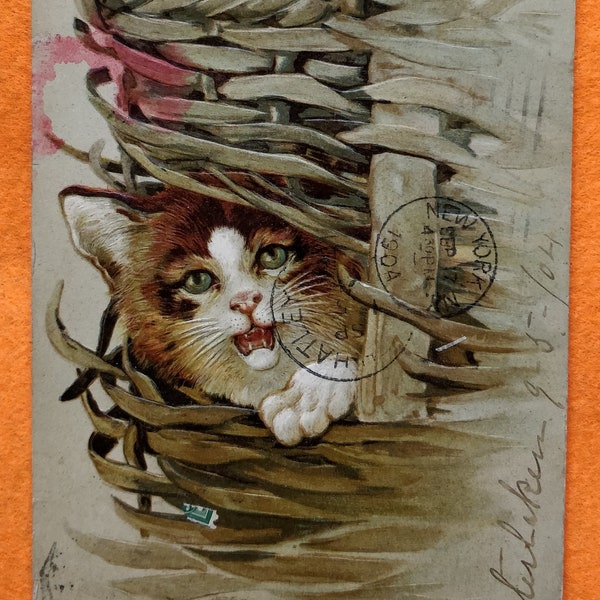 Antique Cat Postcard - Etsy