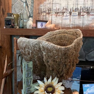 Grand Barrel Natural Genuine Sea Sponge Decorative Nautical Beach ...