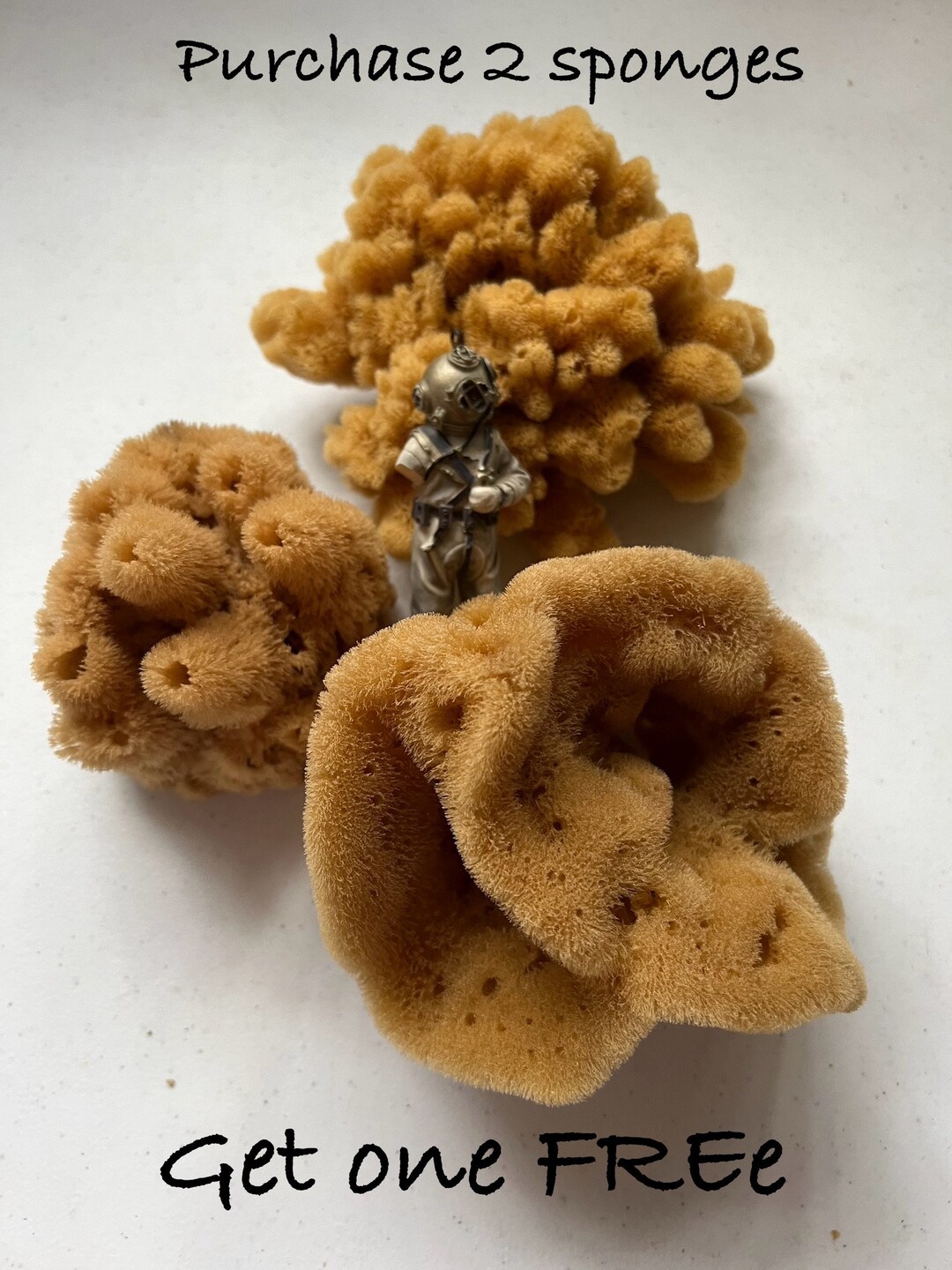 Nautical Natural Sea Sponges Grass Yellow Sponges Cottage Chic - Etsy