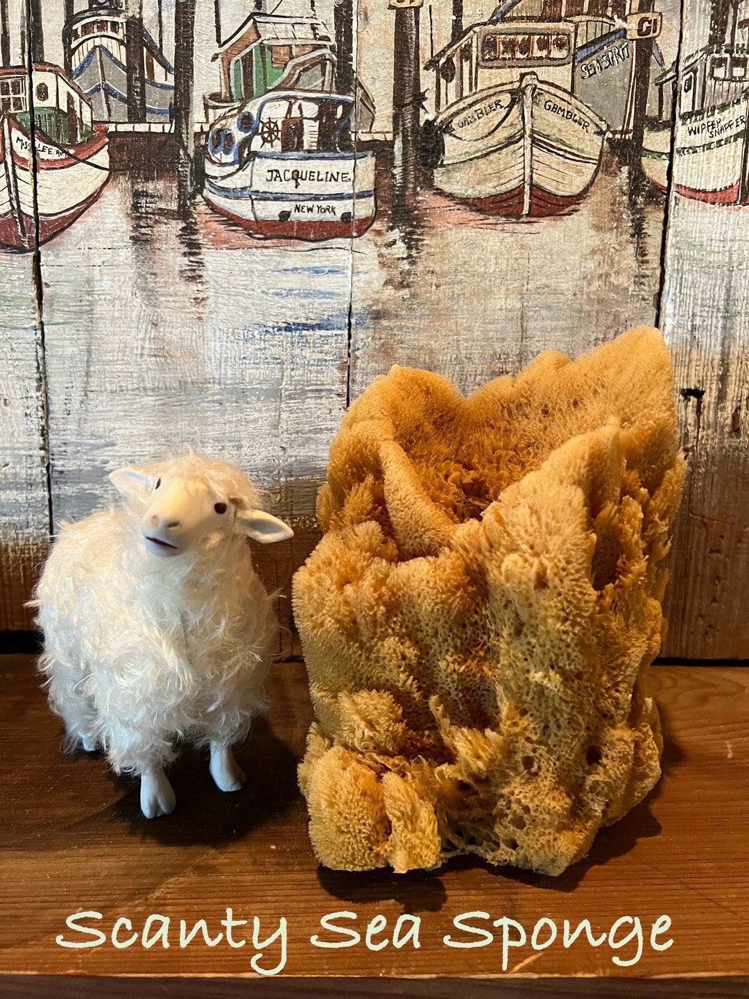 Scanty Sea Sponge Grass Aka Petite Curios Sponge Catch All Valentines ...