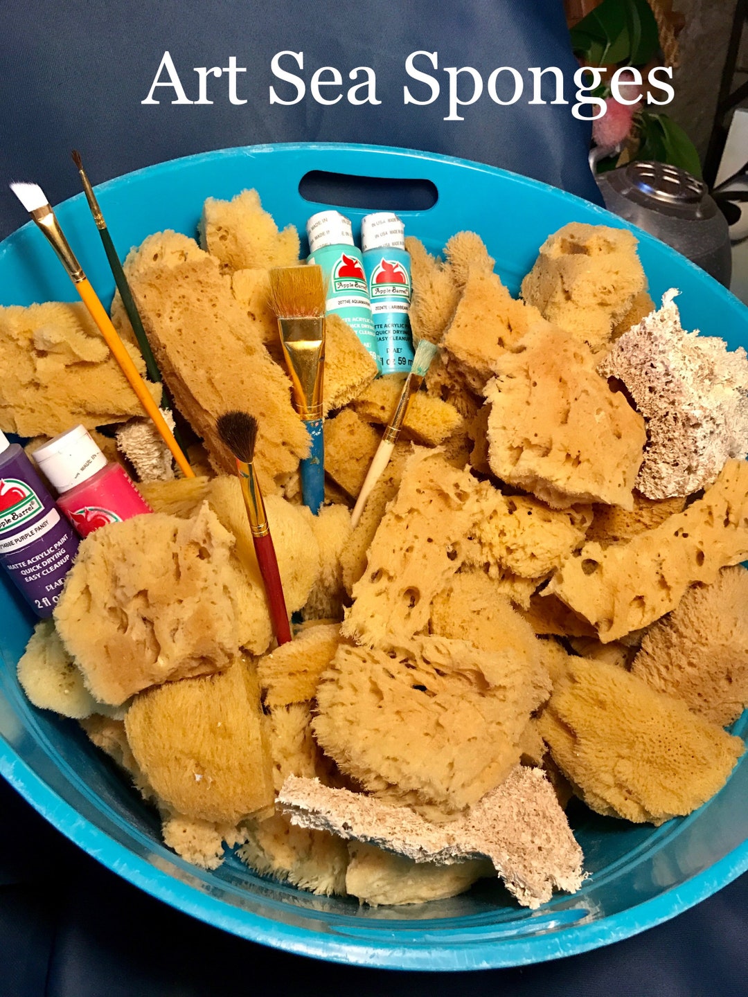 100 Pc. Art Set Natural Sponges Artist Pottery Faux Painting Canvis ...