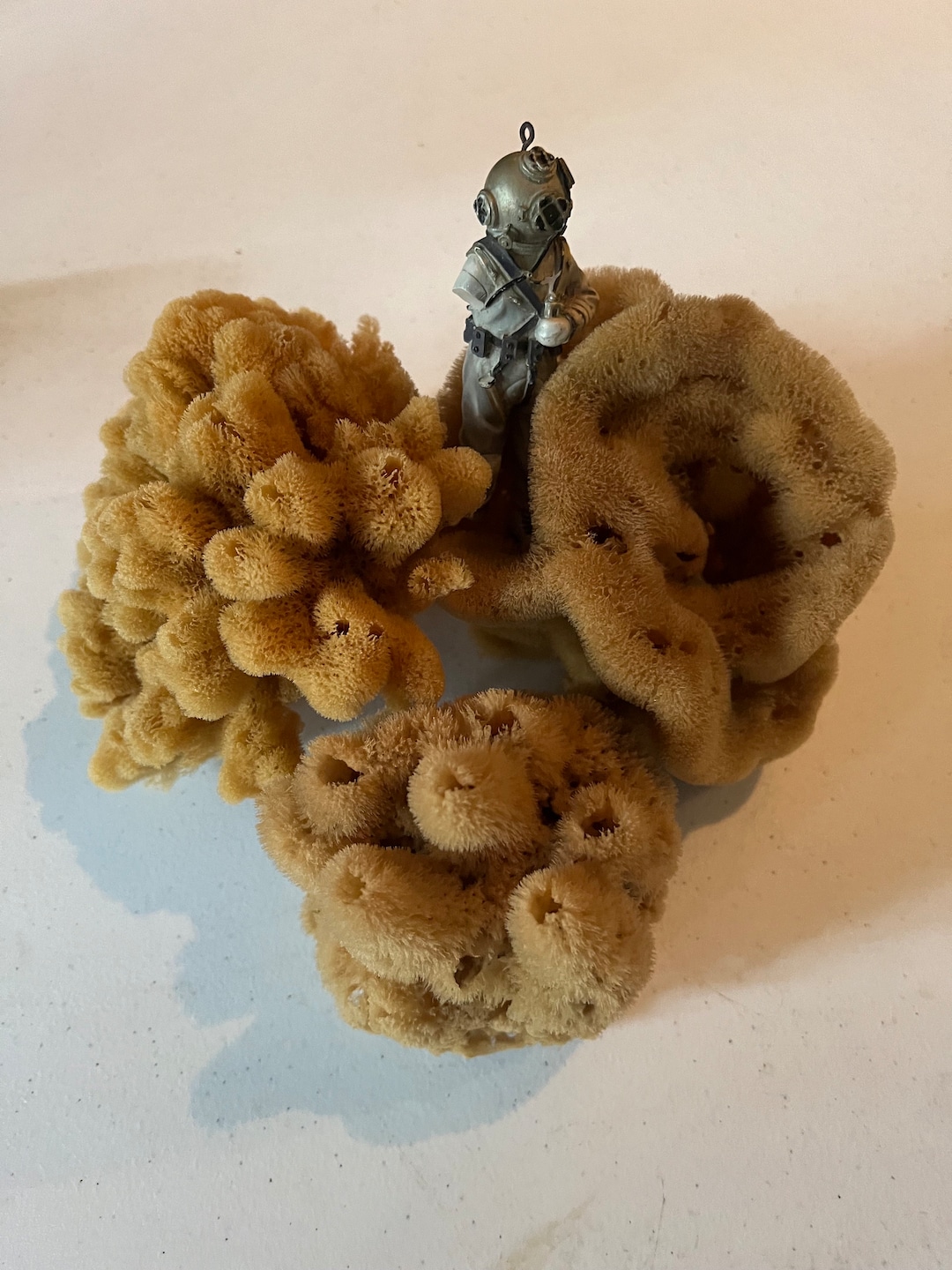 Nautical Natural Sea Sponges Grass Yellow Sponges Cottage Chic Beach ...