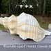 Gulf Coast Florida Horse Conk Shell - Etsy