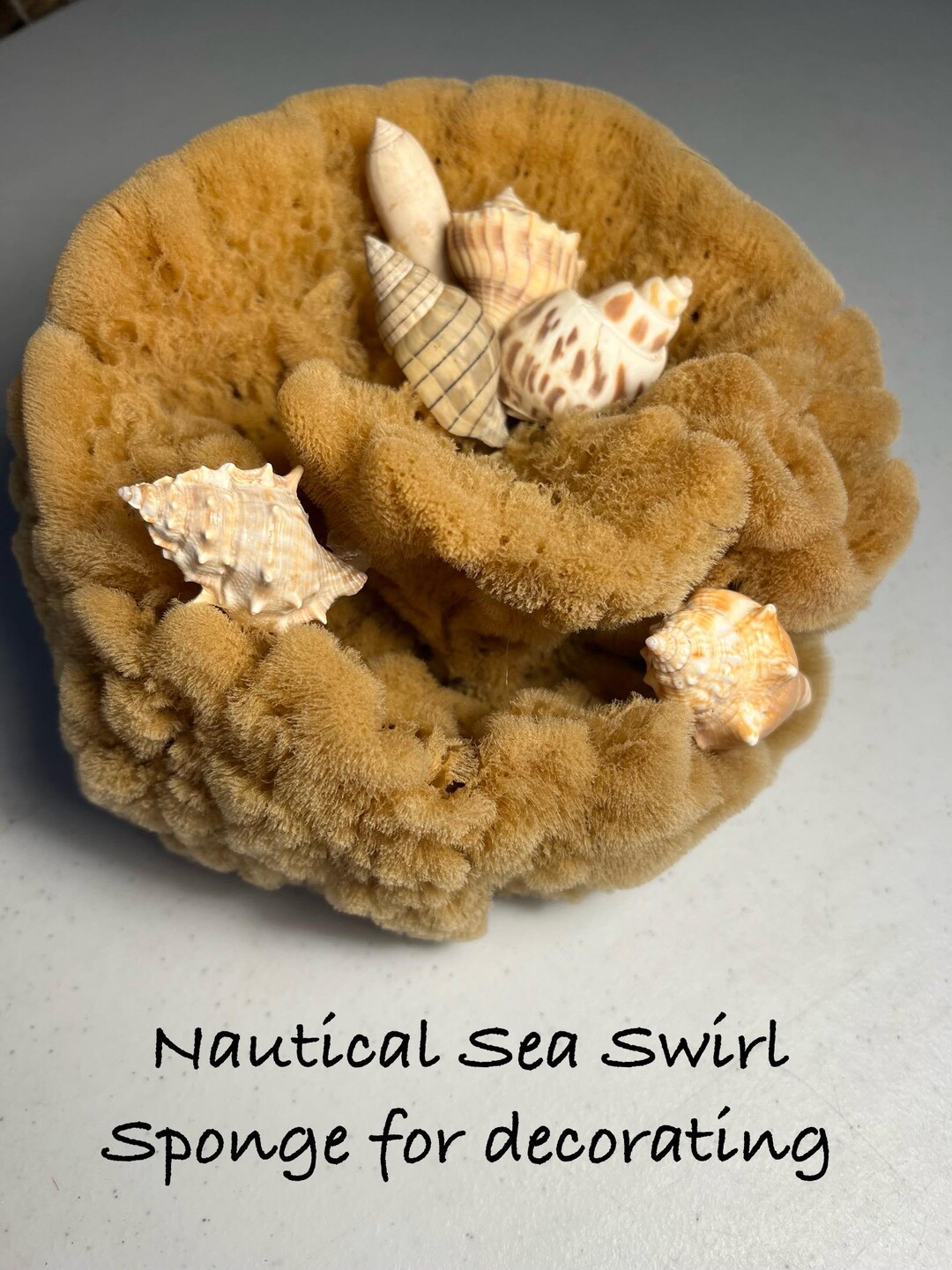 NEW Sea Sponge Swirl Shape Natural Grass Decorative Purpose Only ...