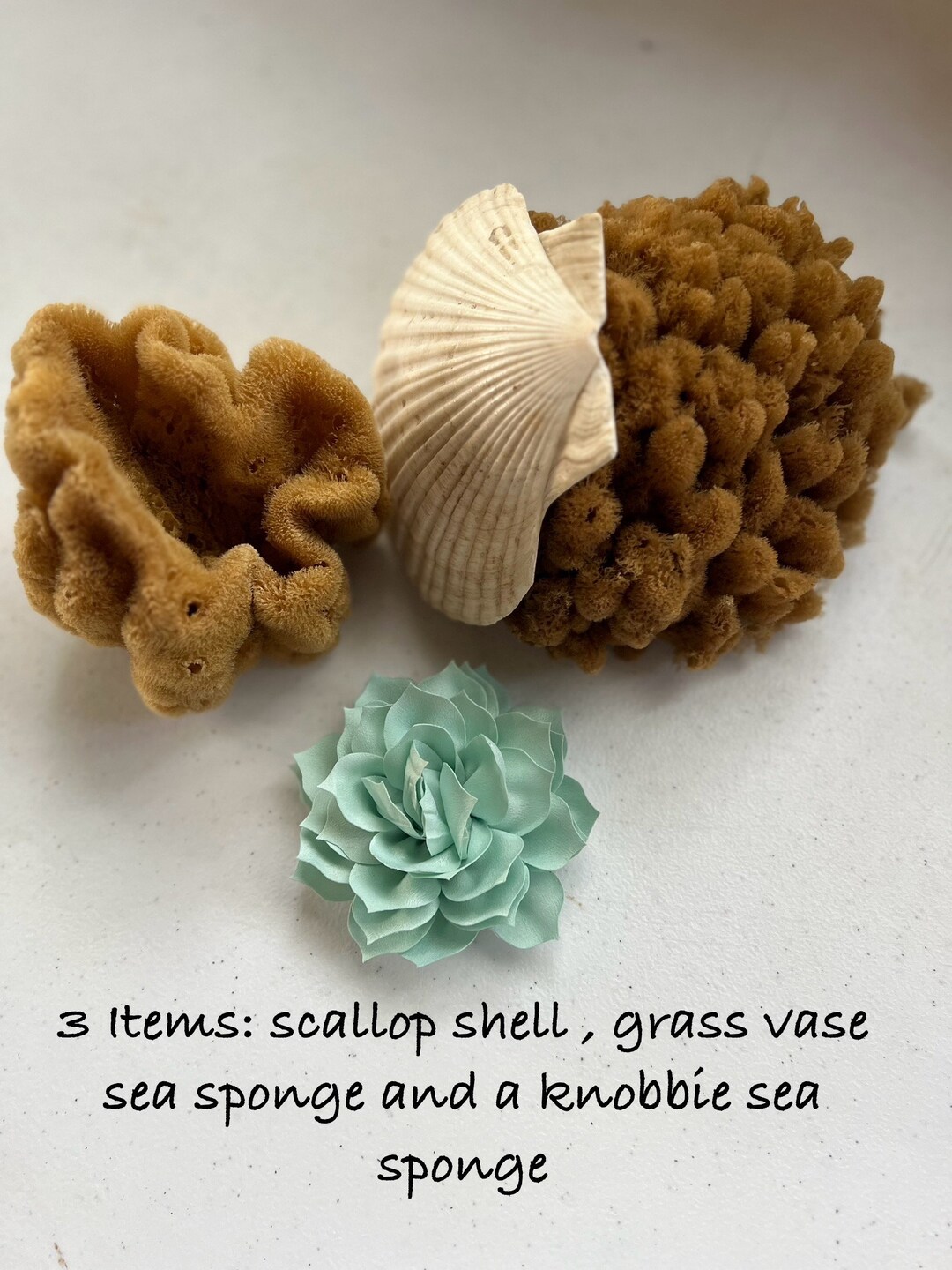 Beach Coastal Living Sea Sponge Grass Aka Curior Catch All Vase Sponge ...