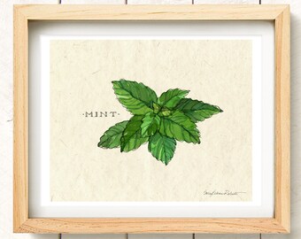 Field Guide Herbs-rosemary Watercolor Art Print-8.5 X 11 | Etsy