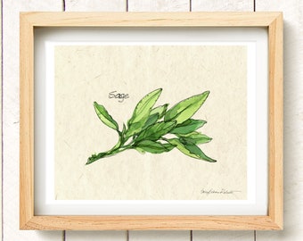Field Guide Herbs-rosemary Watercolor Art Print-8.5 X 11 | Etsy
