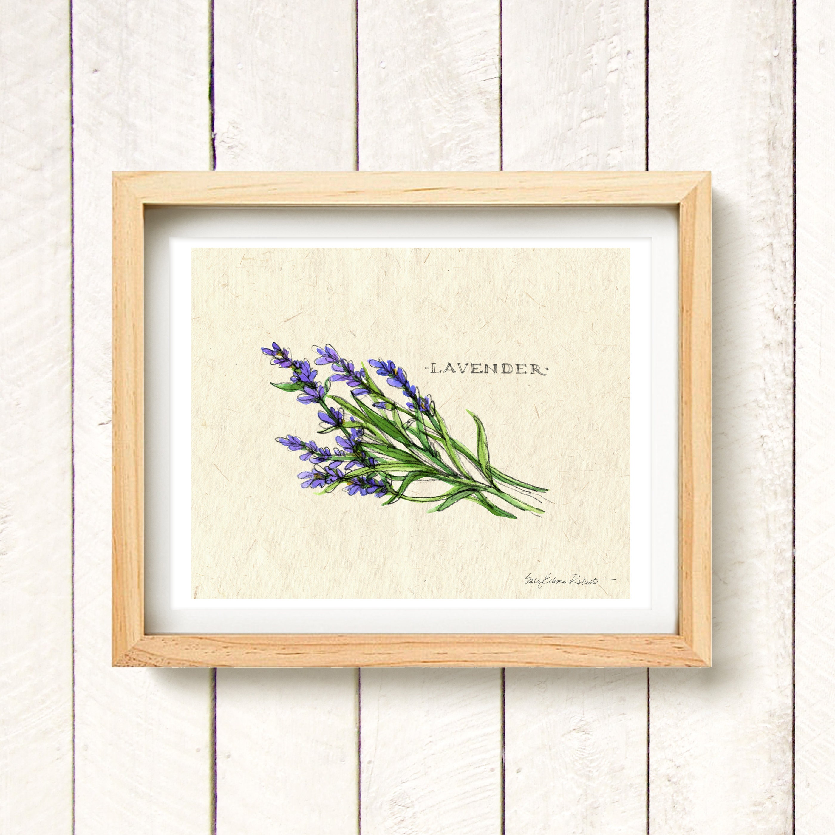 Field Guide Herbs-lavender-watercolor Art Print-8.5 X 11 - Etsy