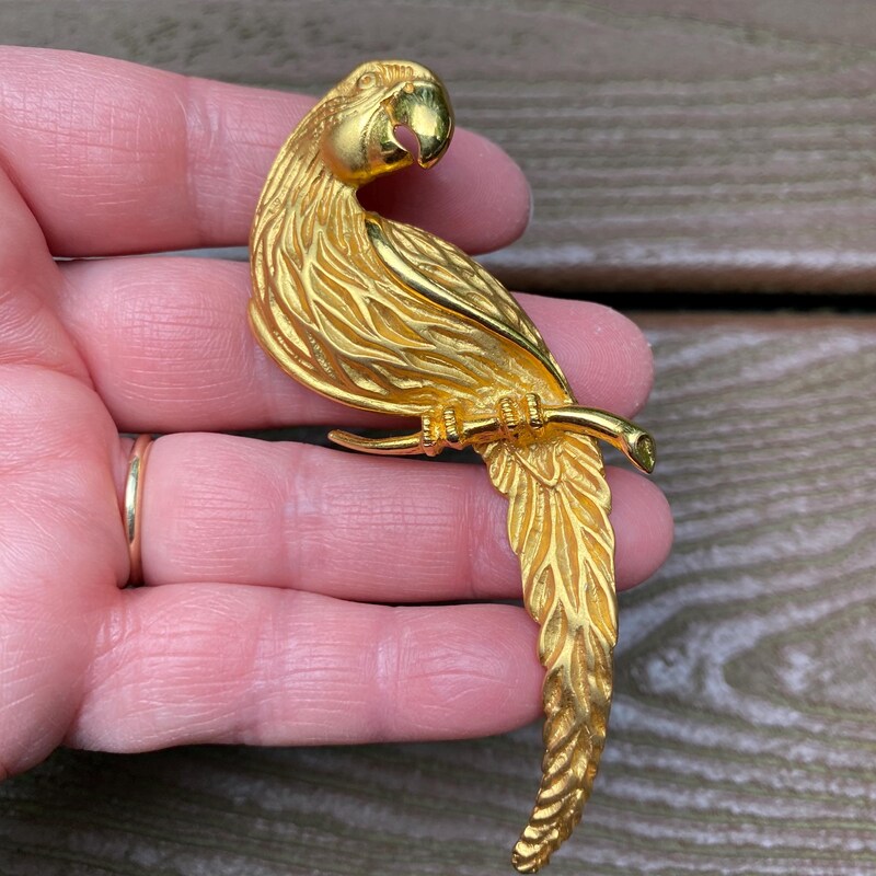 Parrot Pins - Etsy