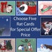 Rat Christmas Card Pack Pack of Five Cards Choose Five - Etsy