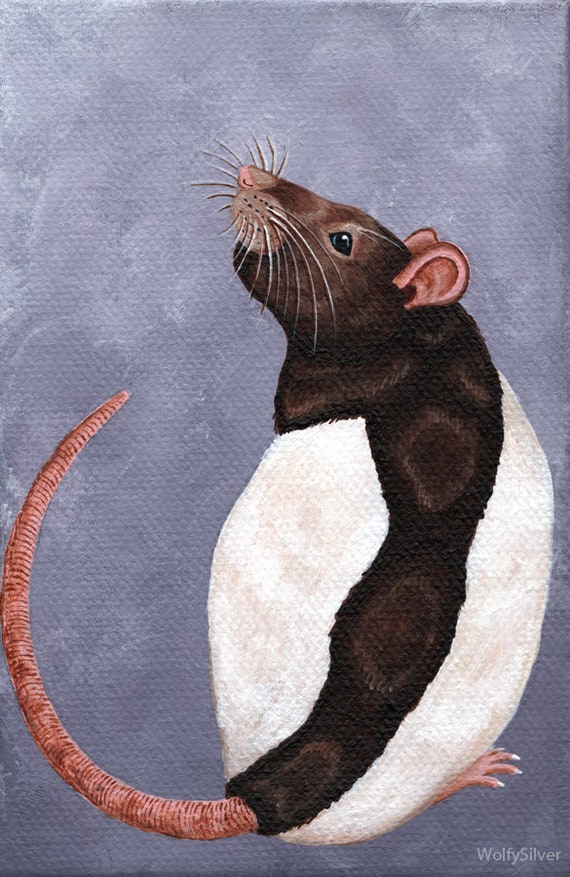 Russian Blue Rat Hooded