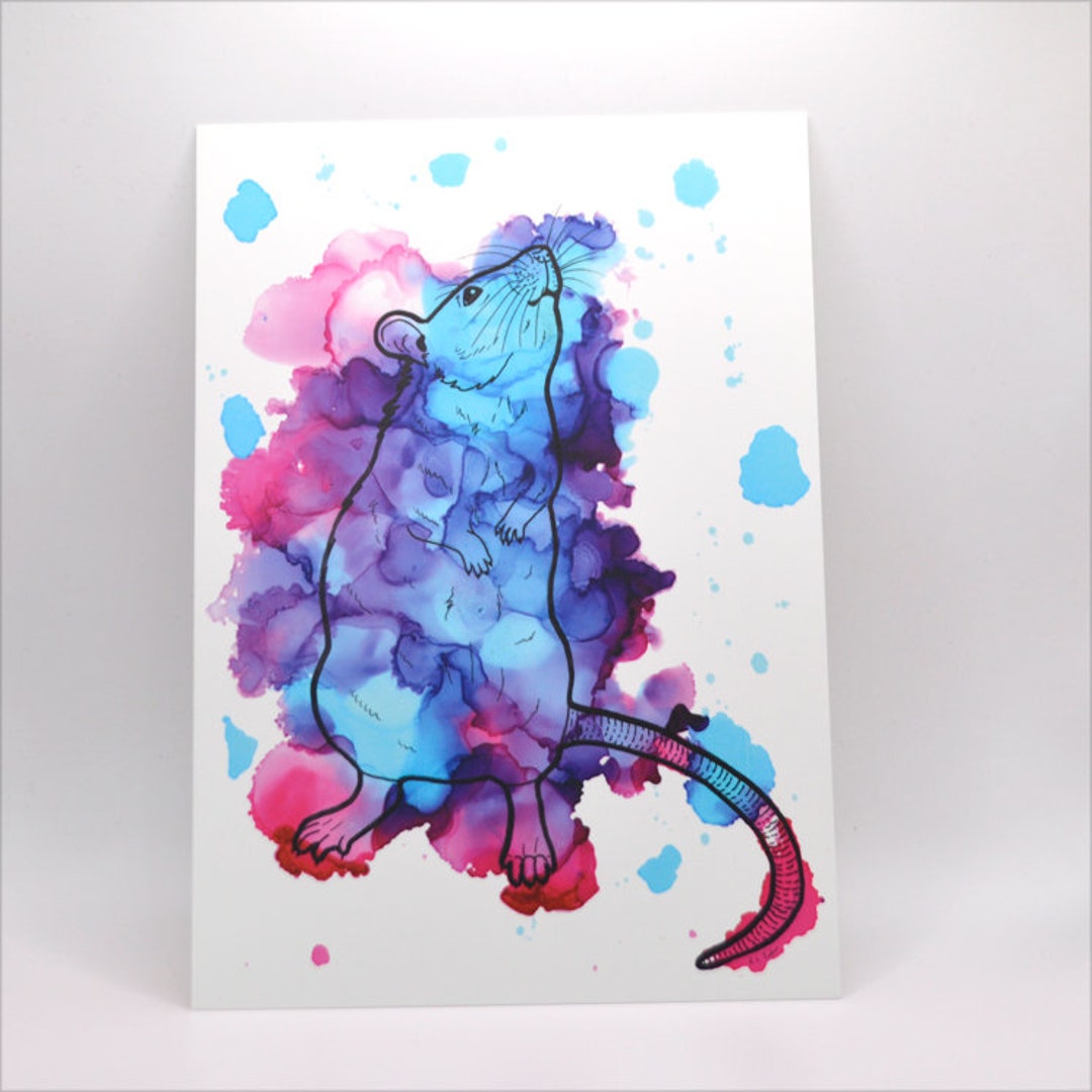 Ink Rat Print, Colourful Rat Art - Etsy
