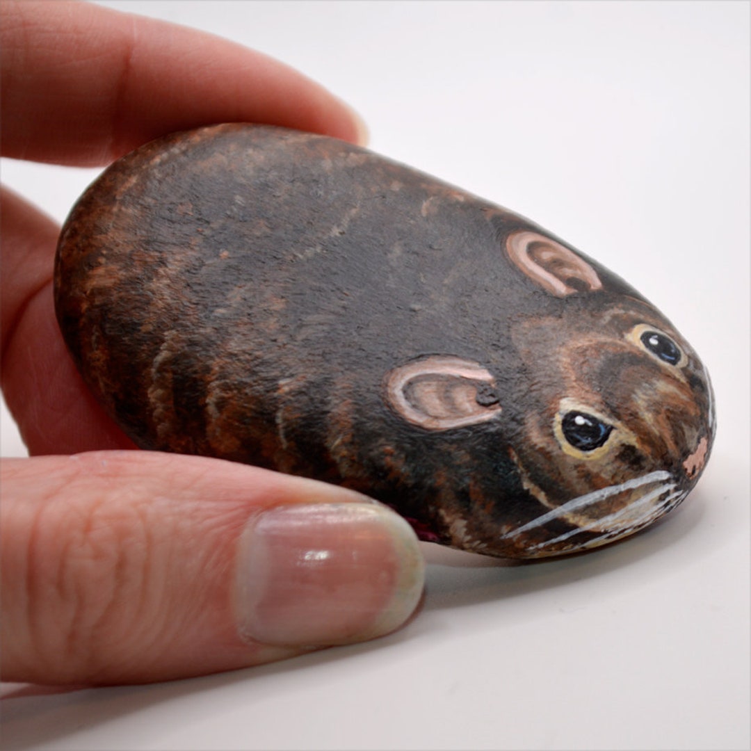 Field Mouse Painted Stone, Wild Mouse Decoration Rock - Etsy