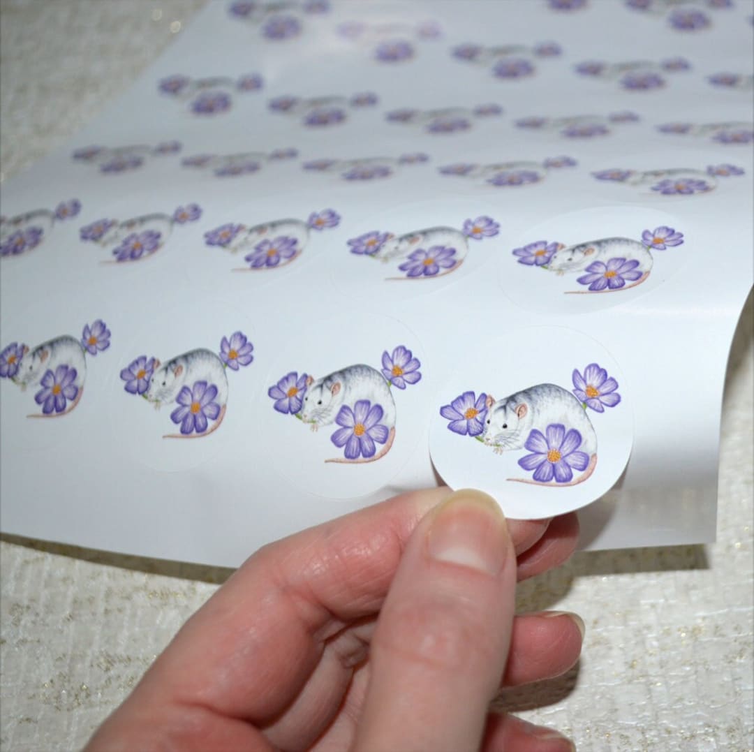 Floral Rat Stickers, Roan Rat Sticker Sheet, A4 Sheet of Rodent ...