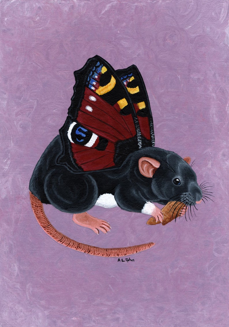 Rat Greetings Card, Berkshire Rat With Peacock Butterfly Wings ...