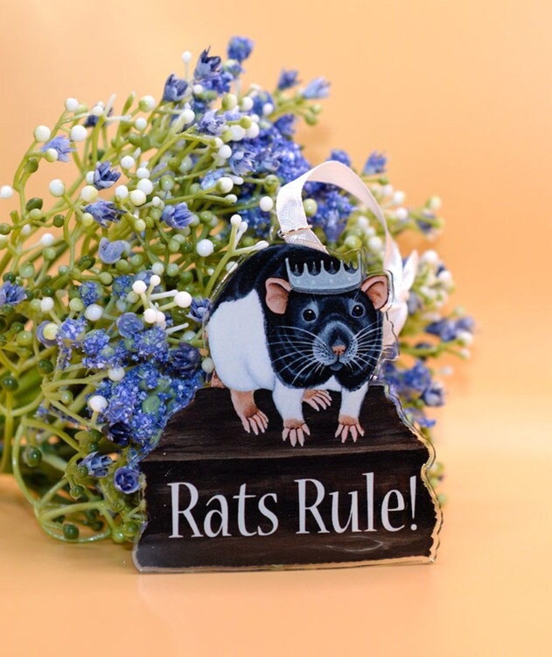 Rats Rule Acrylic Charm, Acrylic Hanging Decoration, Pet Rat Owners ...