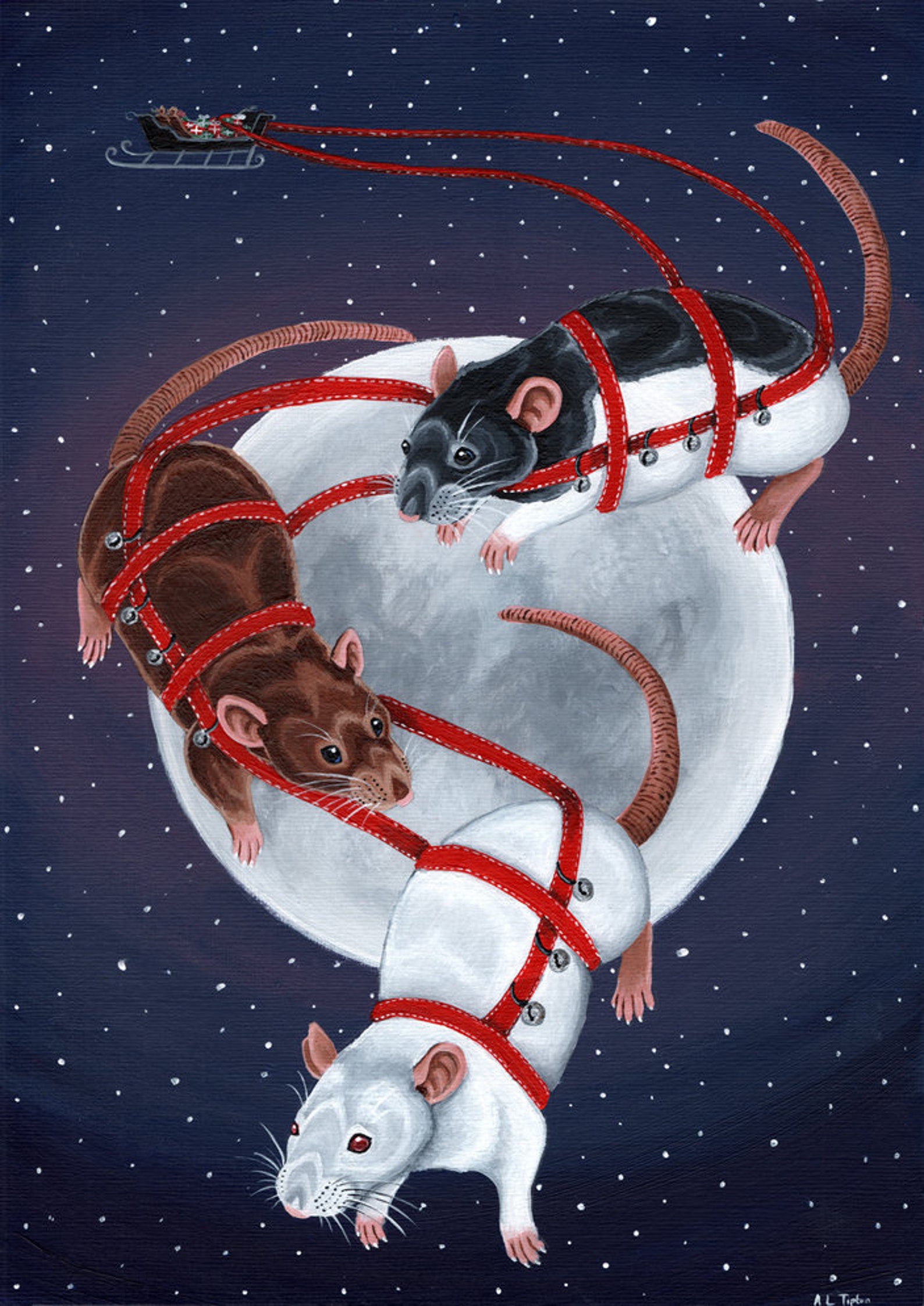 Rat Christmas Card Pack, Pack of Five Cards, Choose Five Designs, Great ...