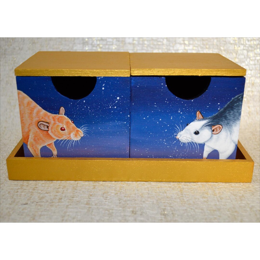 Galaxy Rat Design Wooden Box, Trinket and Jewellery Box - Etsy UK