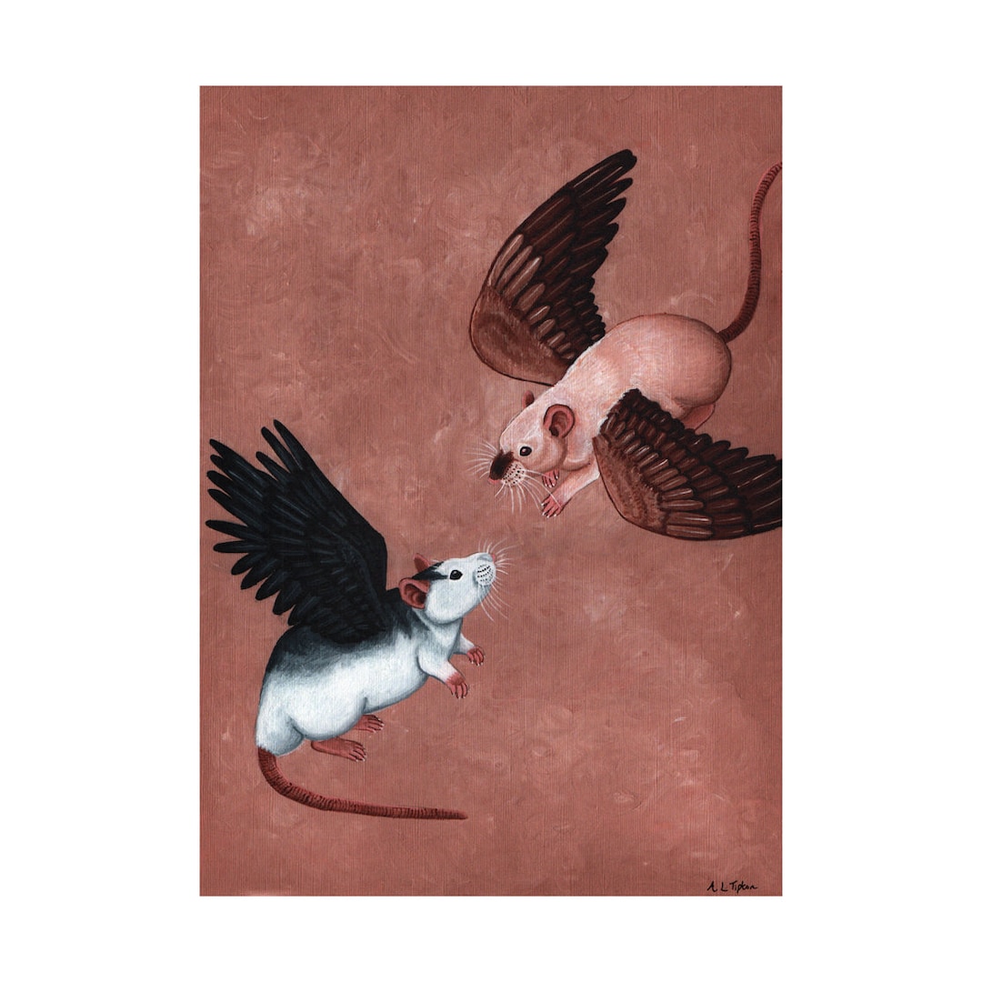 SECONDS Rat A4 Print, Come Fly With Me, Fine Art Print of Two Rats ...