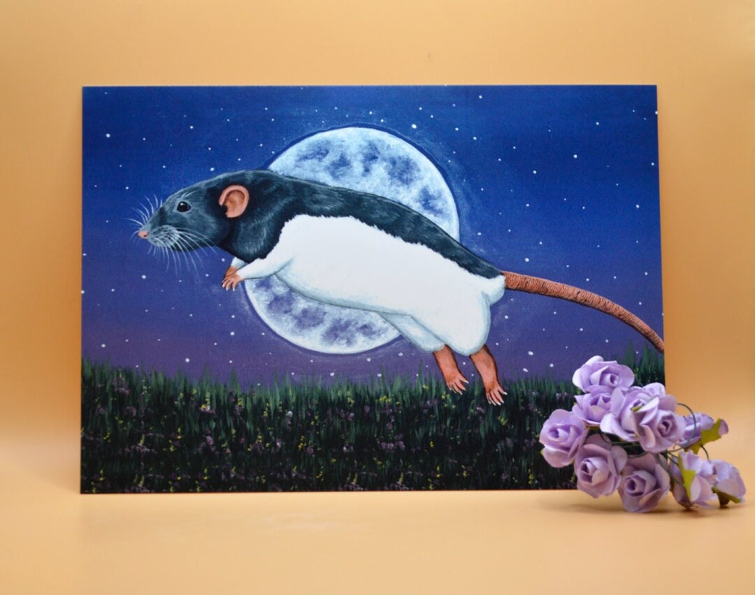 Rat Art Print, Hooded Rat Art, Cute Rat Artwork, A5 Sized Art Print - Etsy