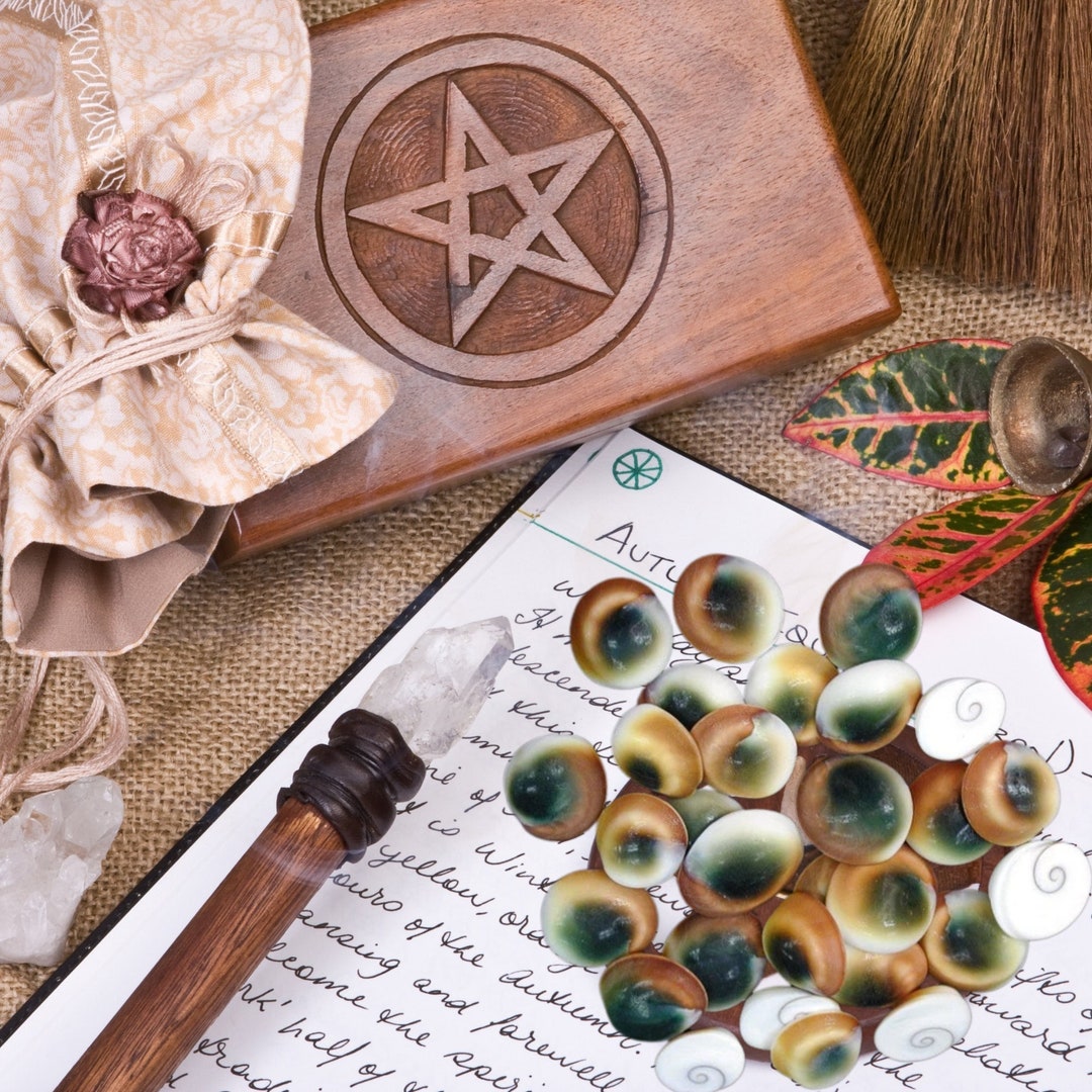 Cat Eye Shells, Shiva Shell, Protection, Ward off Evil, Stop Gossip and ...