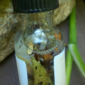 African Ju Ju Oil, Power, Potency, Enhancing Rituals - Etsy