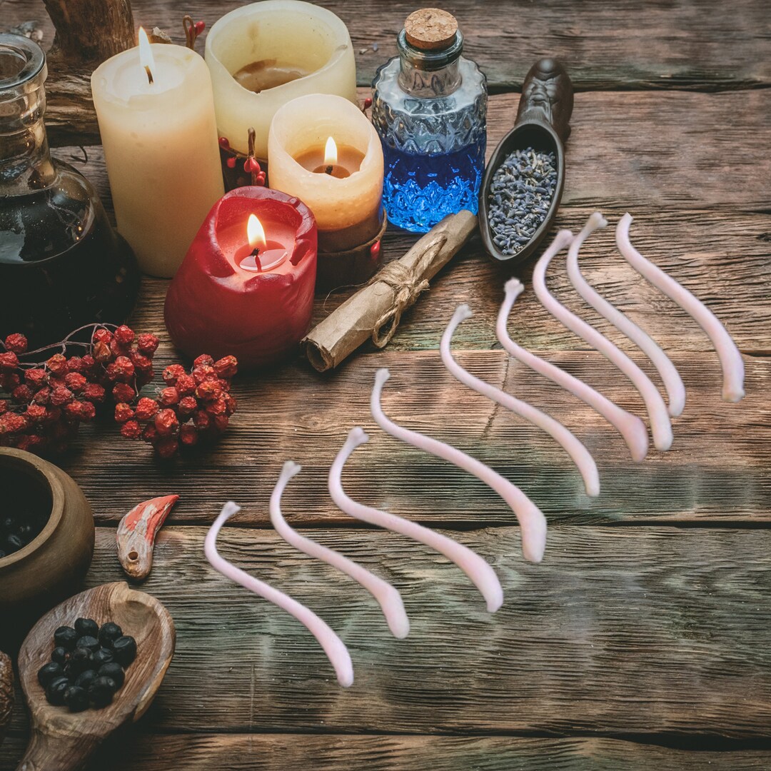 Coon Dong, Racoon Penis Bone, Love, Luck, Gambling, Prosperity ...