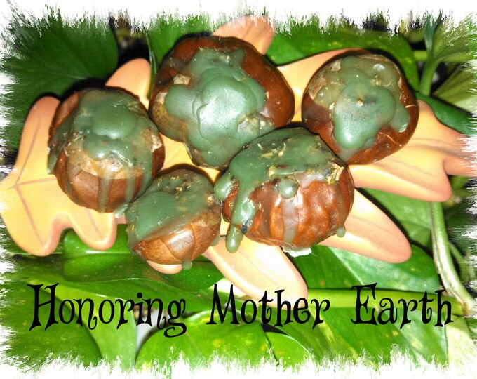 Loaded Buckeye, Charm, Luck, Prosperity, Voodoo, Hoodoo, Talisman ...