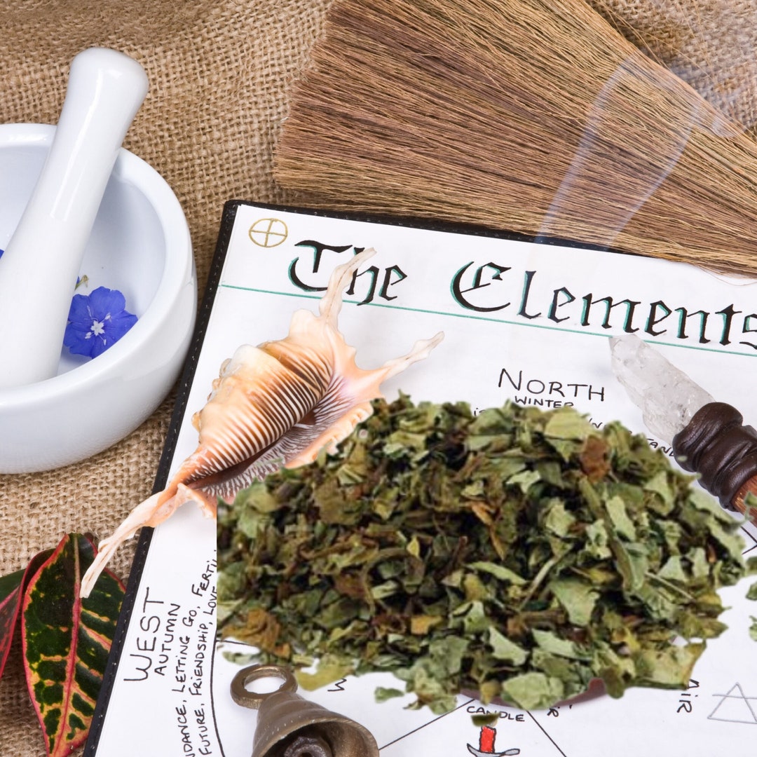 Horehound, Blessing, Protection, Meditation, Voodoo, Hoodoo, Conjure ...