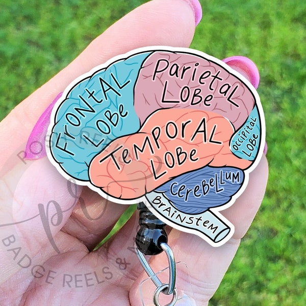 Brain Diagram - Etsy