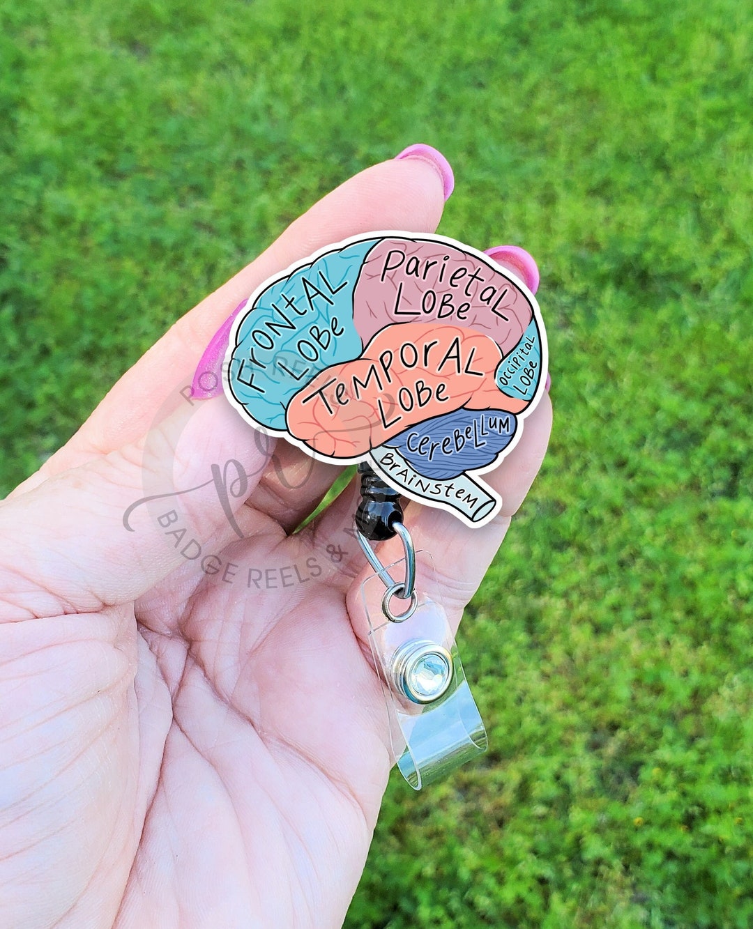 Anatomical Brain Badge Reel, Acrylic Brain With Labels Badge Reel ...