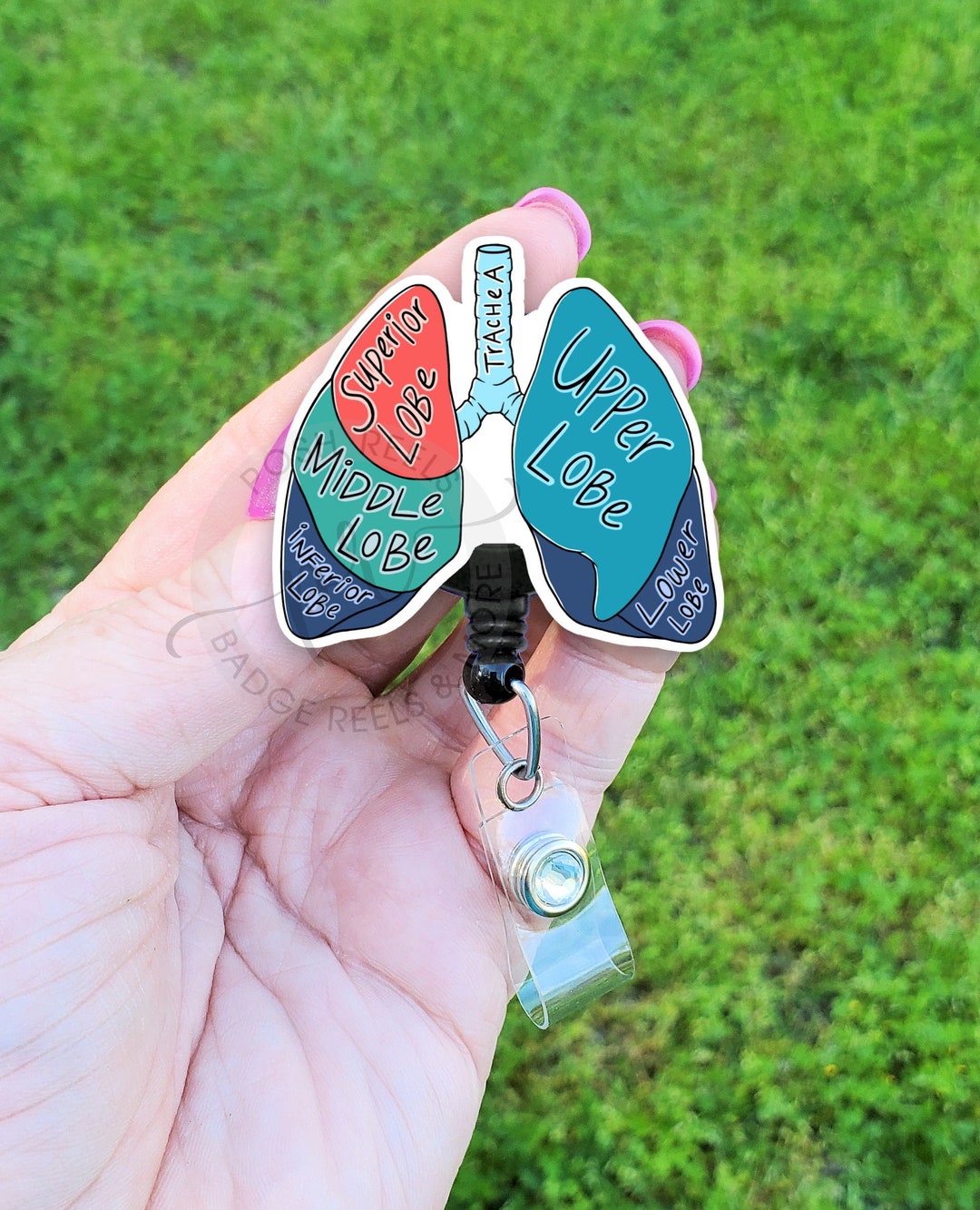 Anatomical Lungs Badge Reel, Acrylic Lungs With Labels Badge Reel - RRT ...