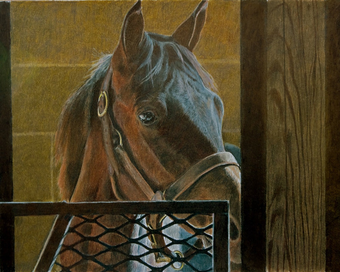 Horse Drawing-thoroughbred Filly at Gate of Her Stall, Original Colored ...