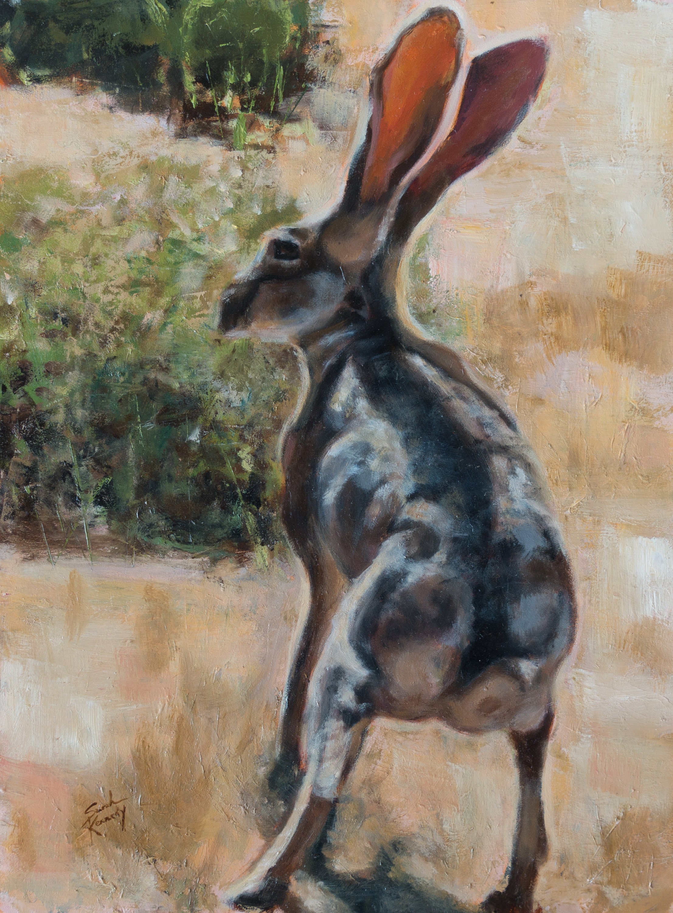 Jack Rabbit Painting